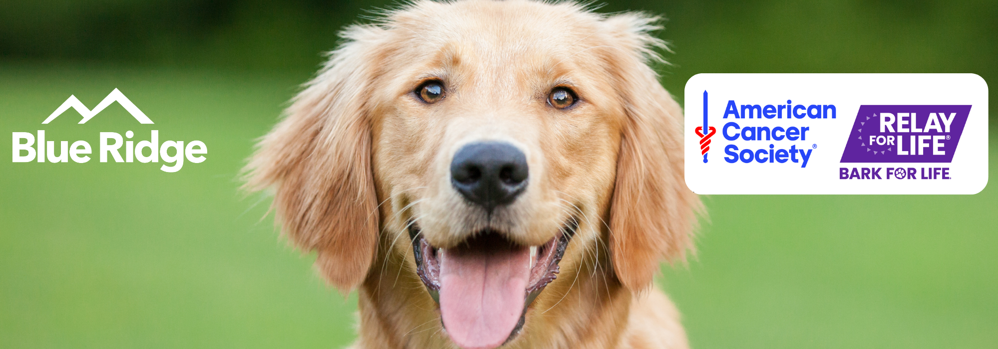 Bark For Life of Lancaster County 2024 - Mainspring of Ephrata